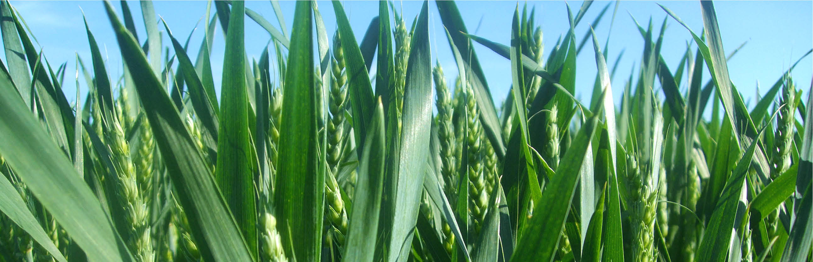 DÜNGEMITTEL – Karl Stumpf Landesproduktenhandel GmbH