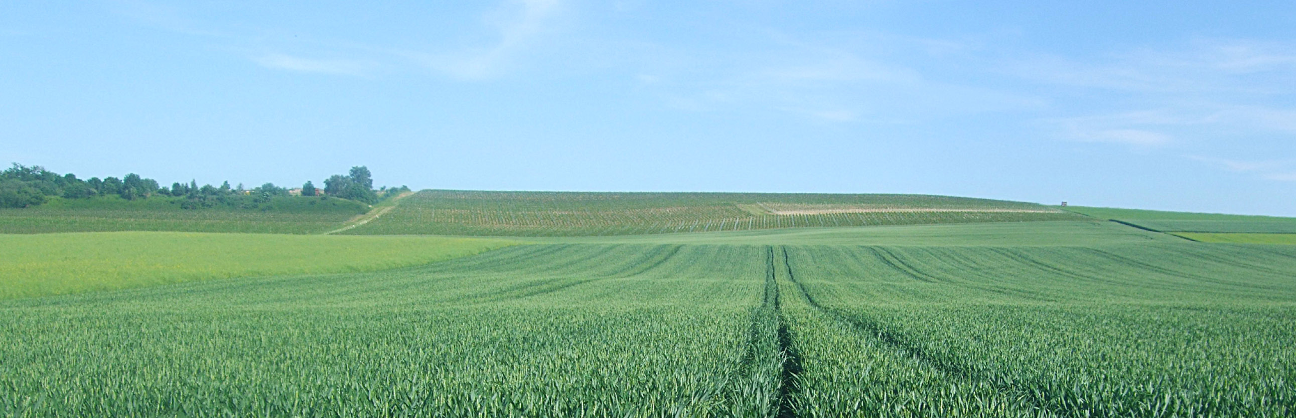 IMPRESSUM | DATENSCHUTZ | AGB’s – Karl Stumpf Landesproduktenhandel GmbH